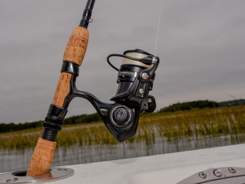 Penn Conflict II Review | Salted Angler
