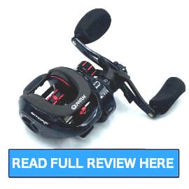 Best Quantum Fishing Reel Reviews | Salted Angler
