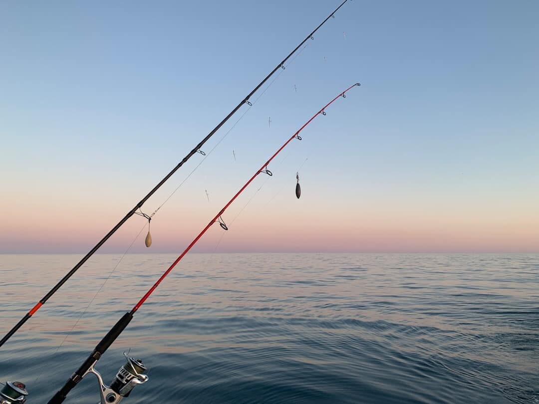 How to Tie a Fishing Hook: Step-by-Step for Beginners | Salted Angler